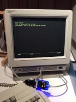 IBM 3151 Serial Terminal | Vintage Computer Federation Forums